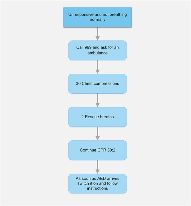 Guidelines: Adult basic life support and automated external defibrillation | Resuscitation ...